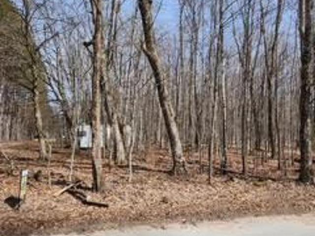 S Socia Rd, Drummond Island, MI 49726