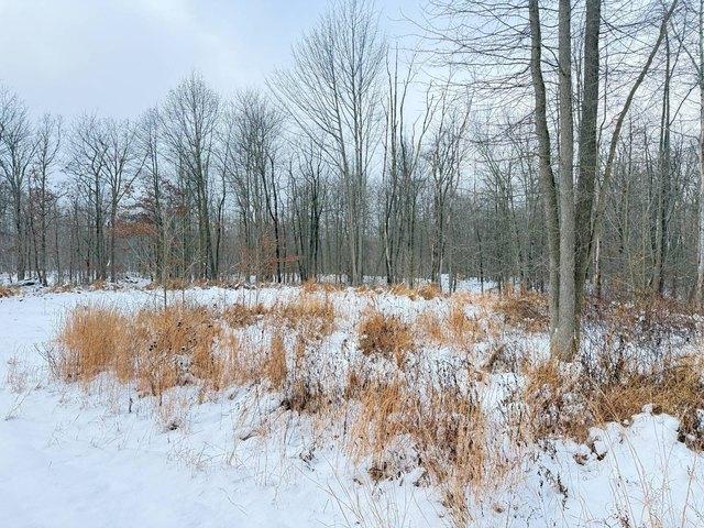 S Spring Rd, Mercer, PA 16137