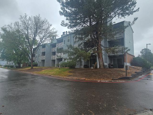 S Tamarac Dr