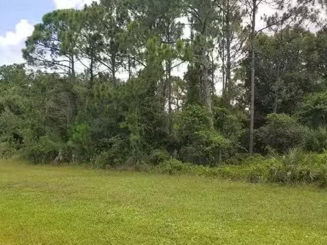 S Tamiami Trail, Venice, FL 34293