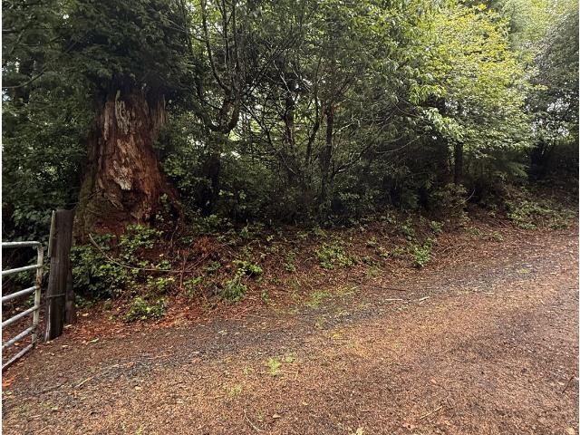 S Terrace DR