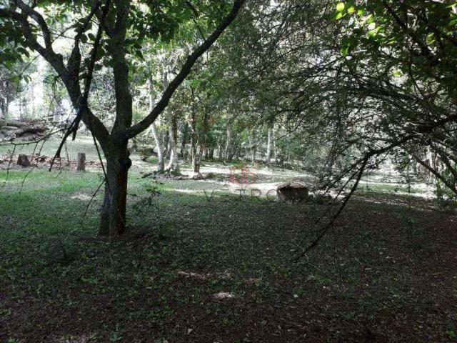 Sítio à Venda em Canela!