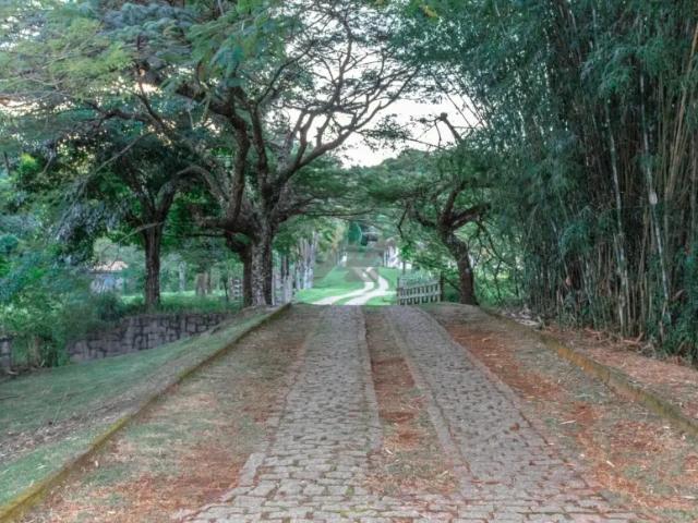 Sítio Joaquim Egídio Campinas
