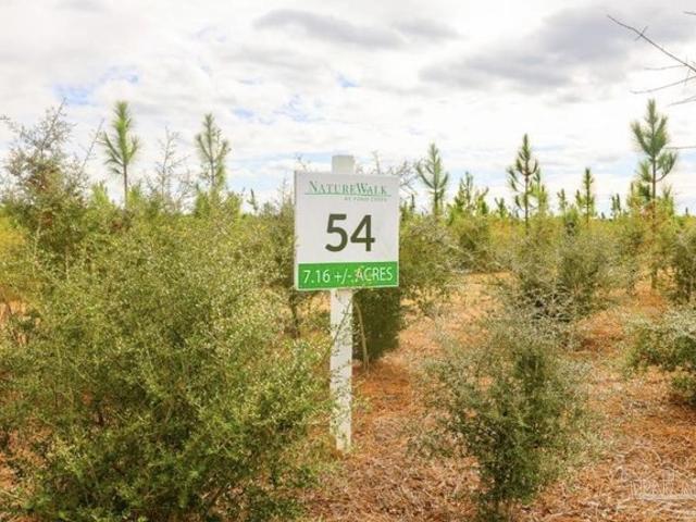 S Timber Ln Lot 54, Jay, FL 32565