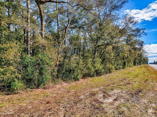 S US Highway 129, Bell, FL 32619