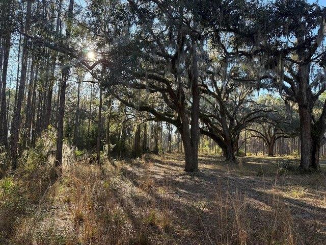 S US Highway 19 Lot 0, Perry, FL 32348