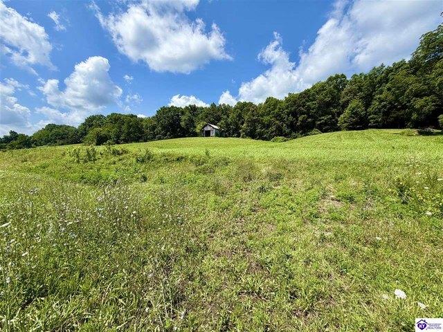 S US 127 Byp, Dunnville, KY 42528