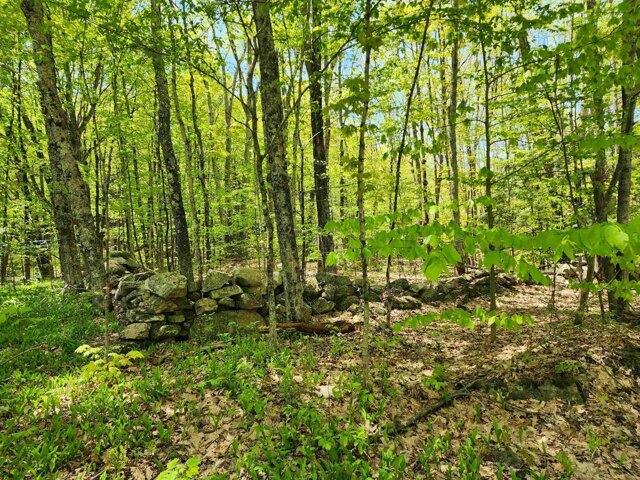 S Village Rd Lot R, Westmoreland, Plot For Sale