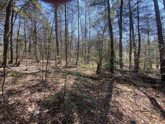 S Village Rd Lot,tolland, Plot For Sale