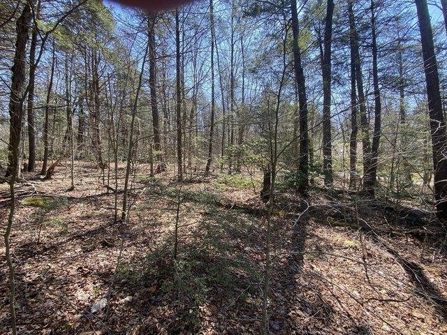 S Village Rd Lot 43, Tolland, MA 01034