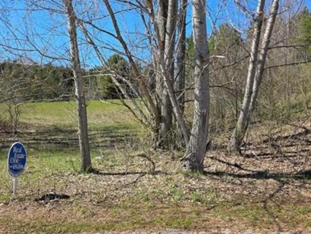 S Walden Ct Lot,suttons Bay, Plot For Sale