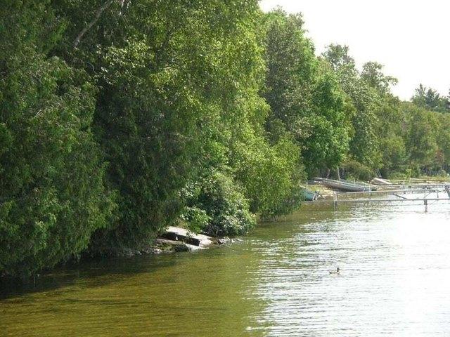 S Wegwas Lot 3C, Trout Lake, MI 49793