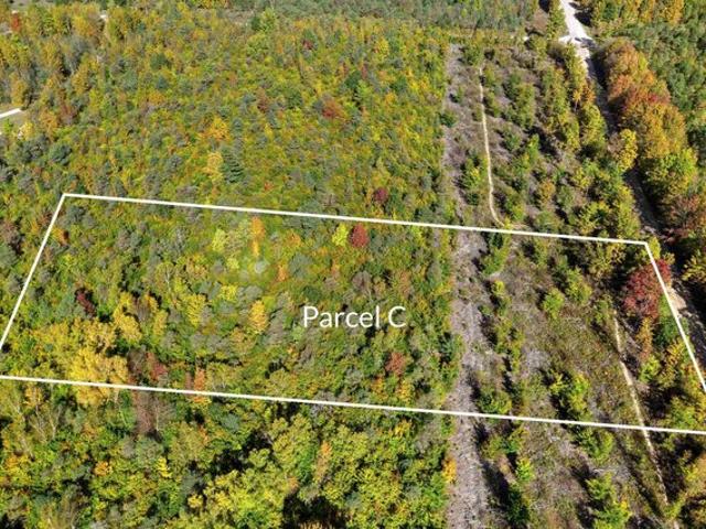 S Weldon Rd Parcel C, Beulah, MI 49617