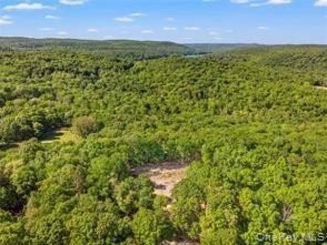 S White Rock Rd, Holmes, NY 12564