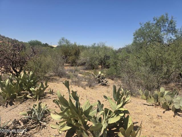 S Wind Crest Dr, Tucson, AZ 85739