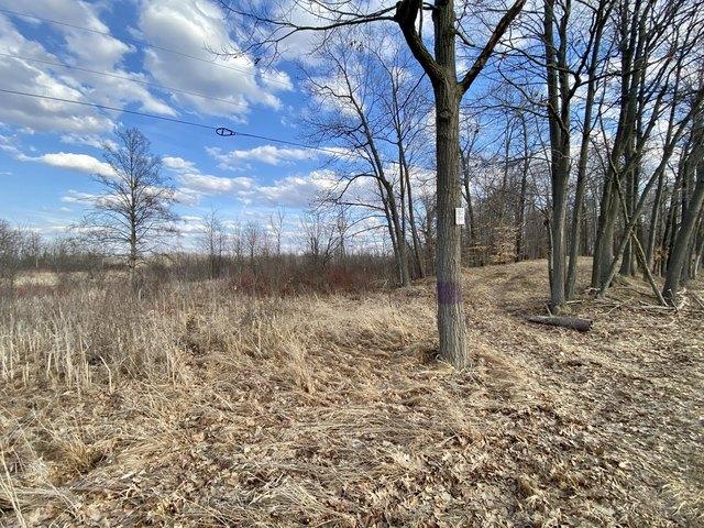 S 1st St, Schoolcraft, MI 49087