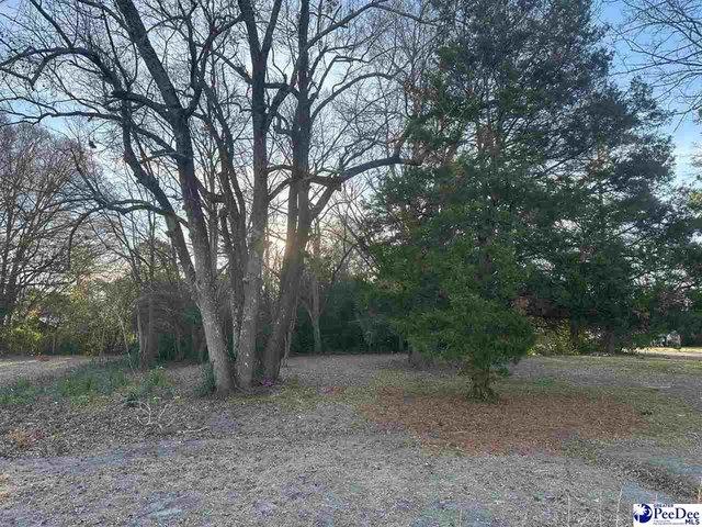 S 4th Ave, Dillon, SC 29536