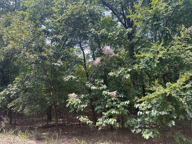 S 550 Rd, Afton, OK 74331