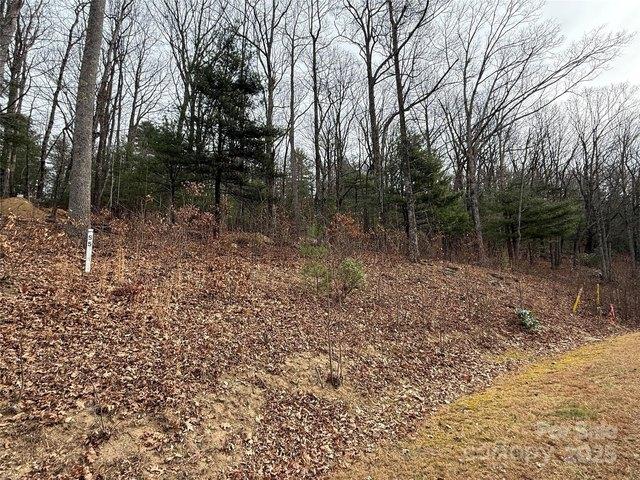 S 5 Hollybrook Dr Unit 5, Flat Rock, NC 28731