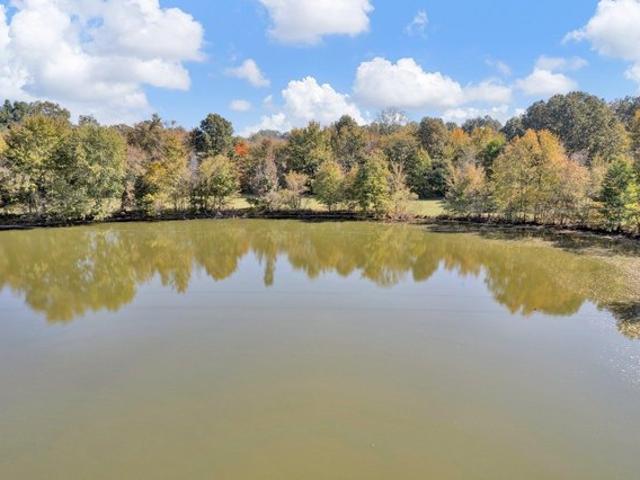 S 70 Hwy, Stanton, TN 38069