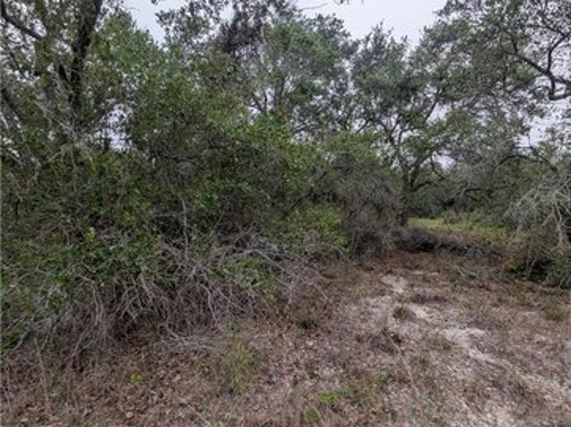 S 8th Lot 7, Aransas Pass, TX 78336