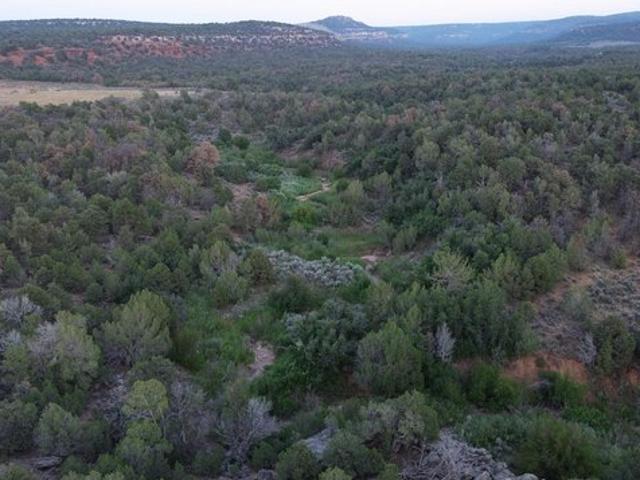 S 9 8/10 Rd, Glade Park, CO 81523