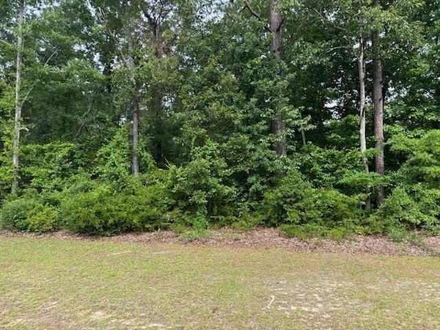 SC Highway 3, Barnwell, SC 29812