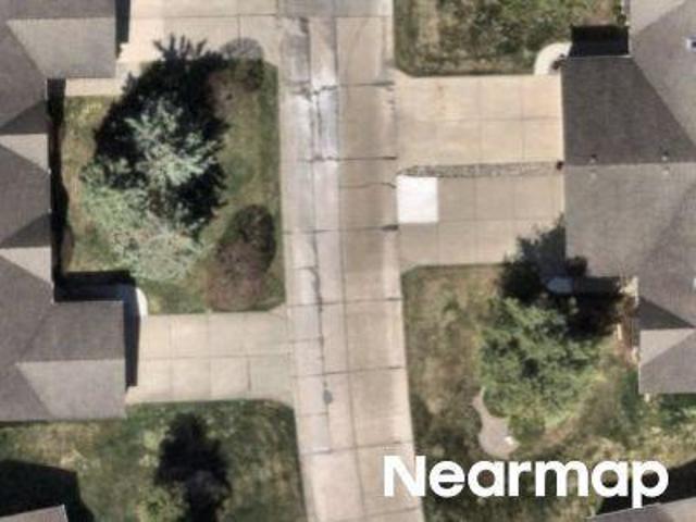 Scotch Pine Ln # 5