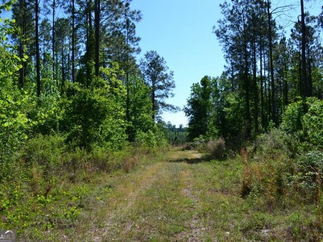 Scotland Rd, Dublin, GA 31021