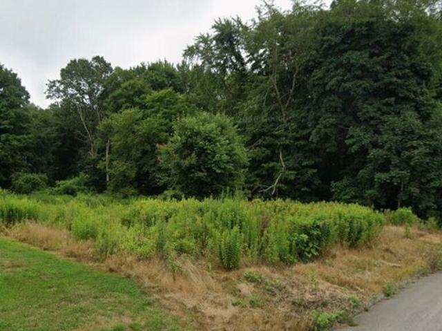 Scotland Rd, Norwich, Plot For Sale