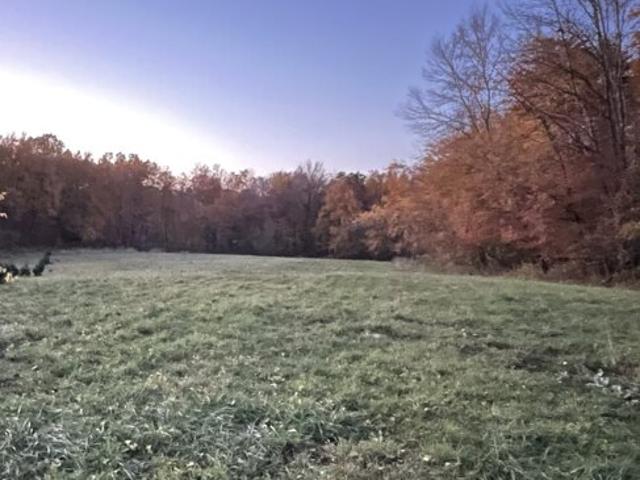 Scotland Rd, Norwich, Plot For Sale
