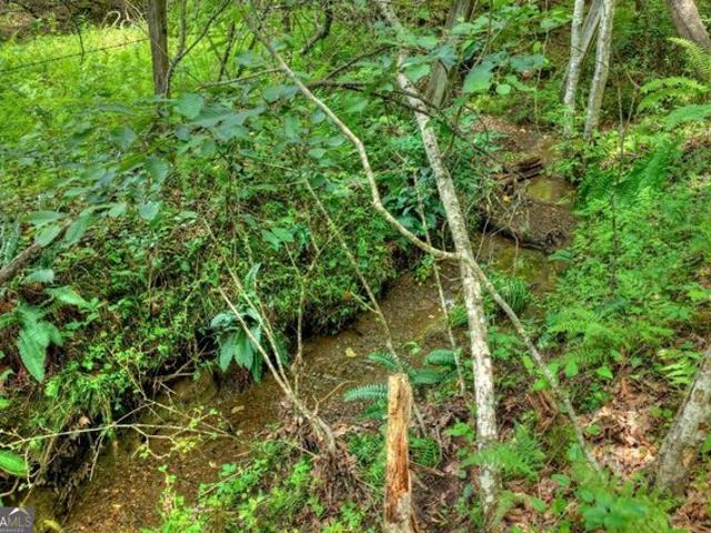 Scots Glen Rd, Mineral Bluff, GA 30559