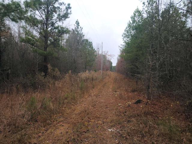 Scott Lane