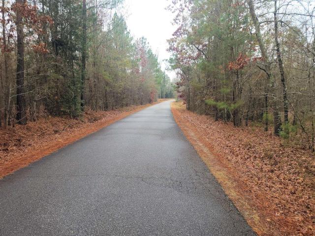 Scott Ln, Pelzer, SC 29669 | MLS #1576