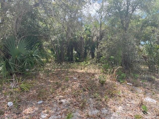 Scottish Ter, North Port, FL 34288