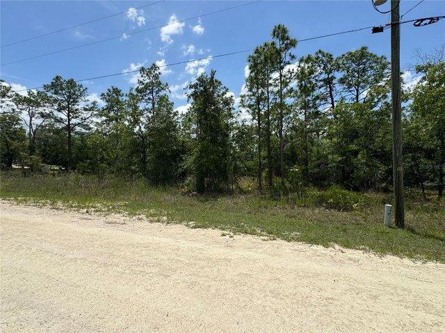 Scaup Duck Ave, Weeki Wachee, FL 34614