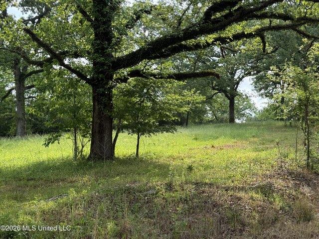 Scales Rd, Morton, MS 39117