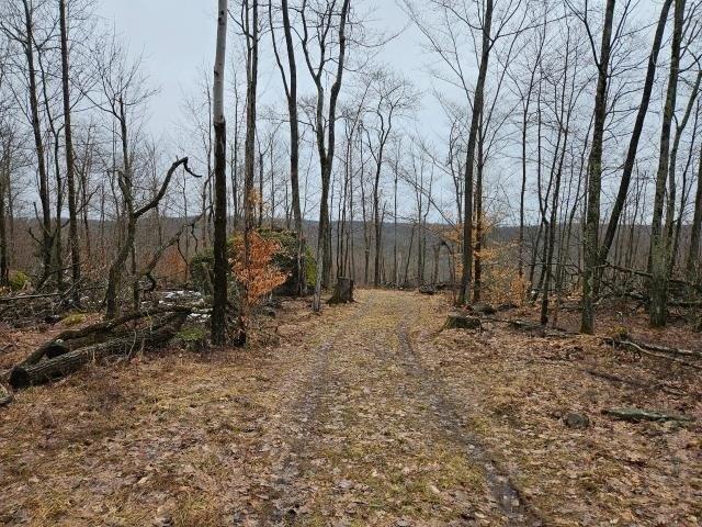 Scandia Rd, Warren, PA 16365