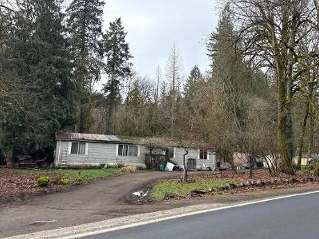Scappoose Vernonia H