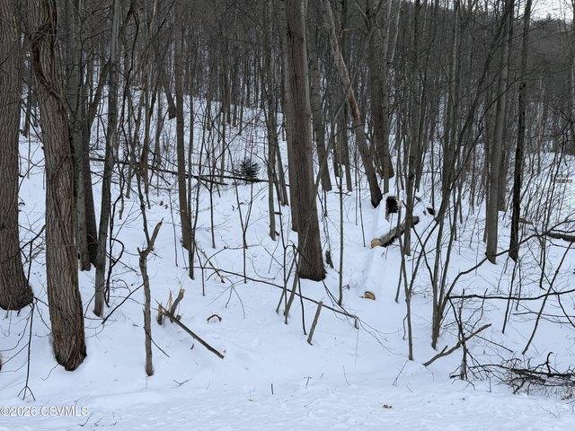 Scenic Ave Lot 171, Bloomsburg, PA 17815