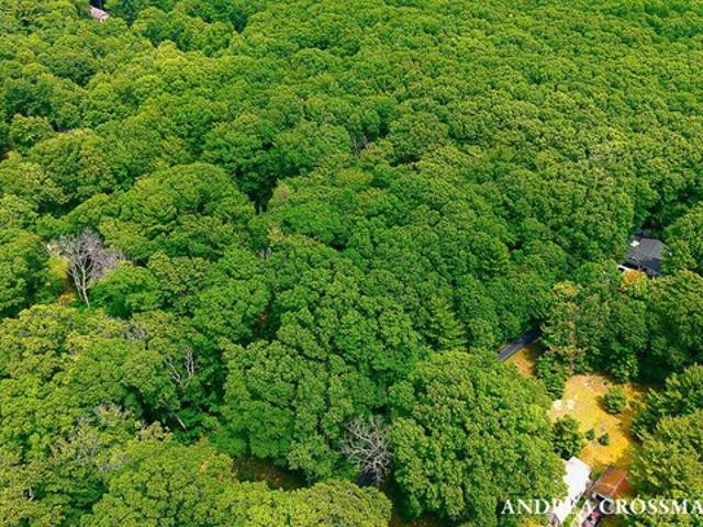 Scenic Dr, Muskegon, MI 49445