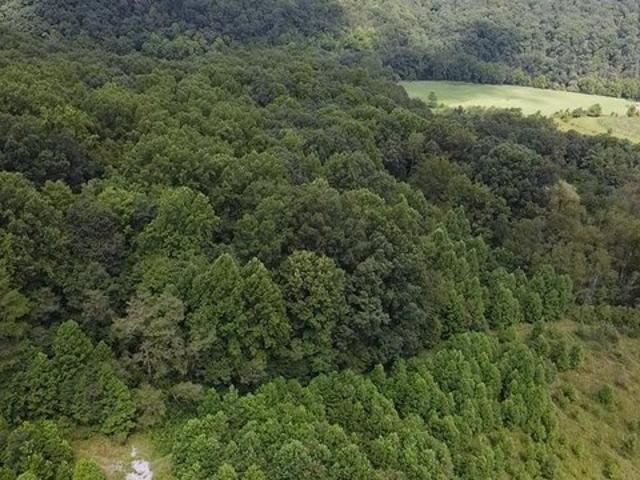 Scenic Dr, Rich Creek, VA 24147