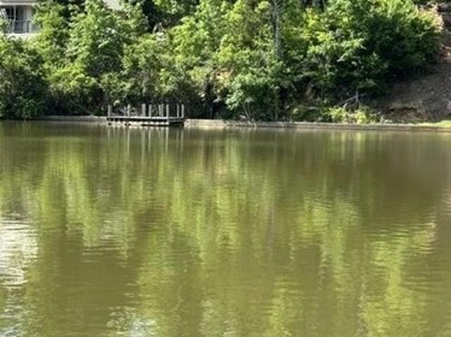 Scenic Shores Way Lots 8 & 8B, Jacksons Gap, AL 36861