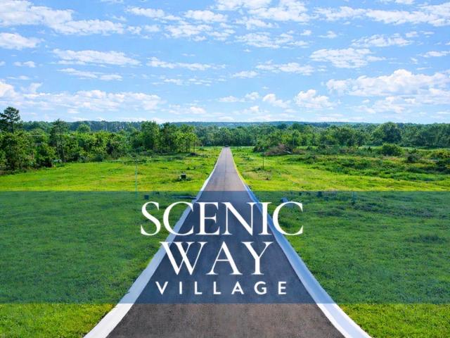 Scenic Way