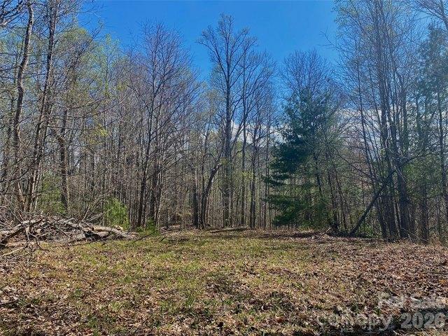Scenic View Dr Units 1 & 2, Green Mountain, NC 28740