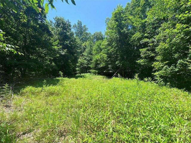 Scenic View Dr Units 1 & 2, Green Mountain, NC 28740