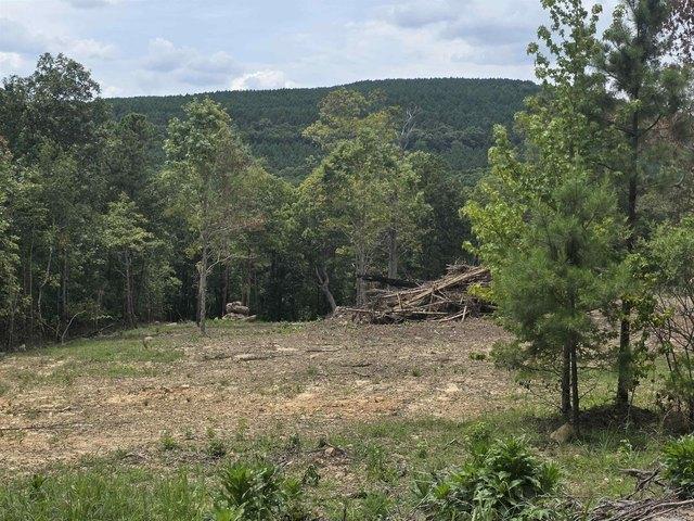 Scenic Vw Lot 9, Edgemont, AR 72044