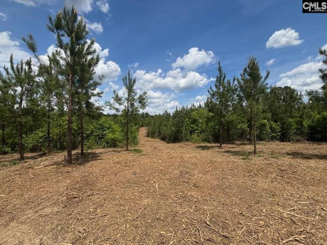 SCF 5 Long Cane Road Lot SCF 5