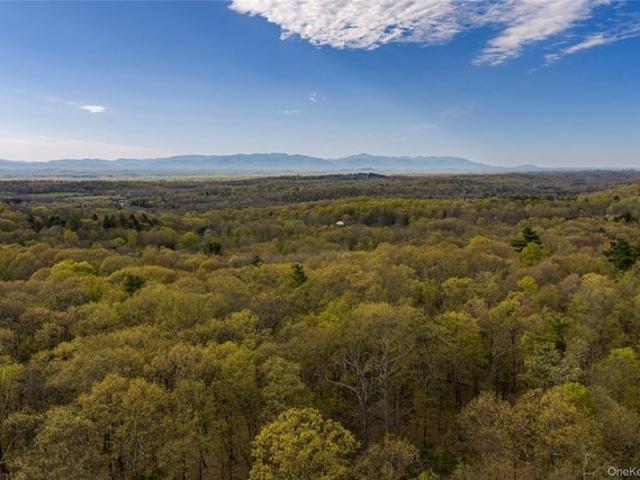 Schultz Hill Rd, Staatsburg, NY 12580