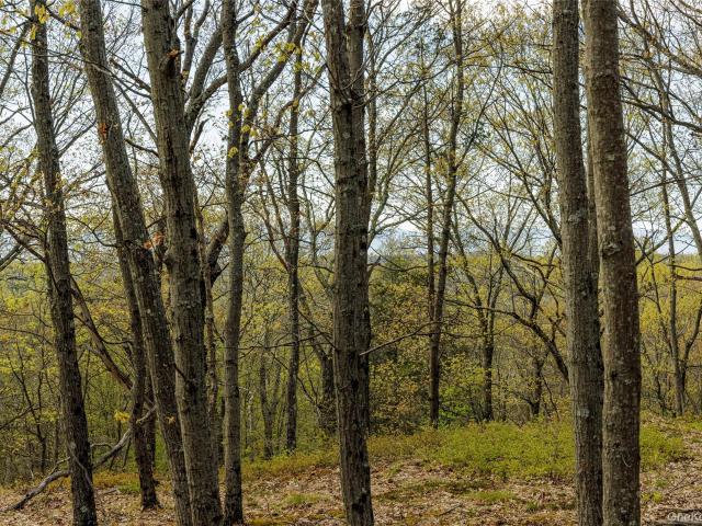 Schultz Hill Rd, Staatsburg, NY 12580 | MLS #993151 | Compass